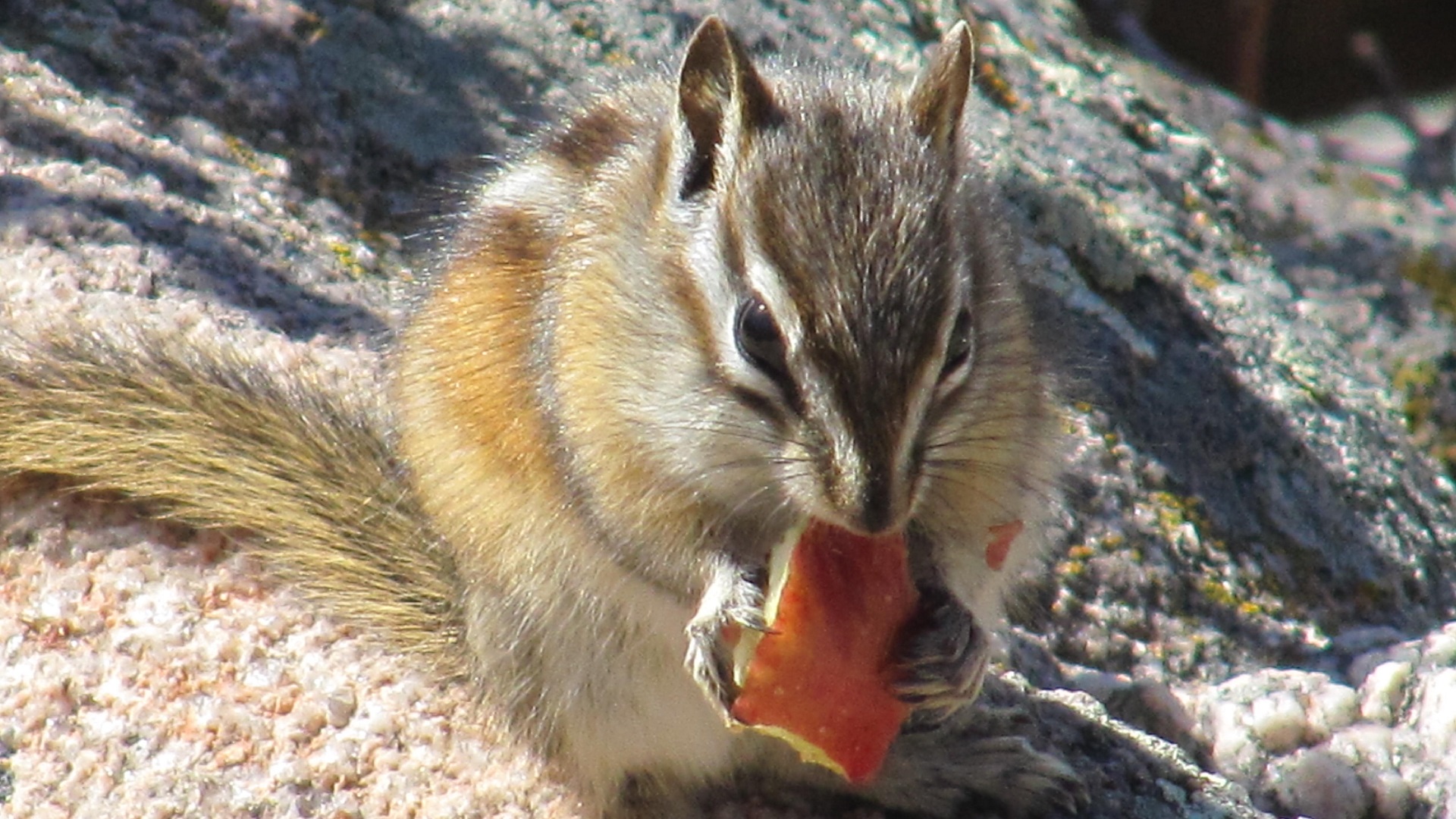 Sustainability - AVK Watecom